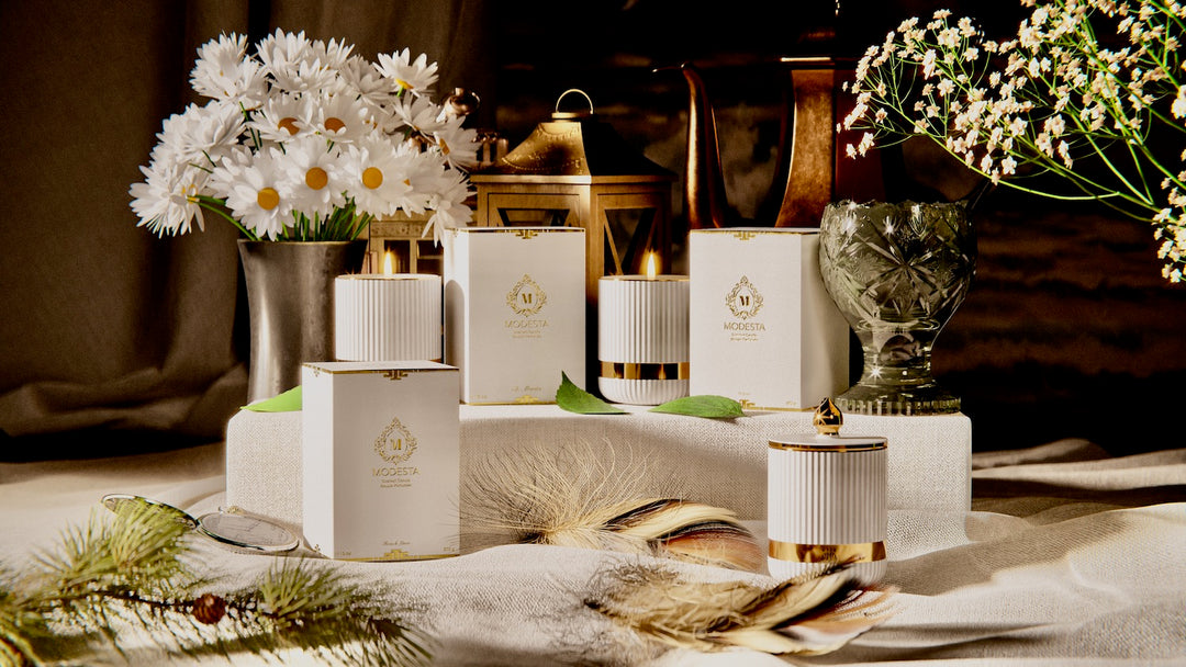 TIMELESS – MODESTA